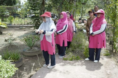 TP PKK Kabupaten Asahan Revitalisasi Taman Toga Rambate Rata Raya ...